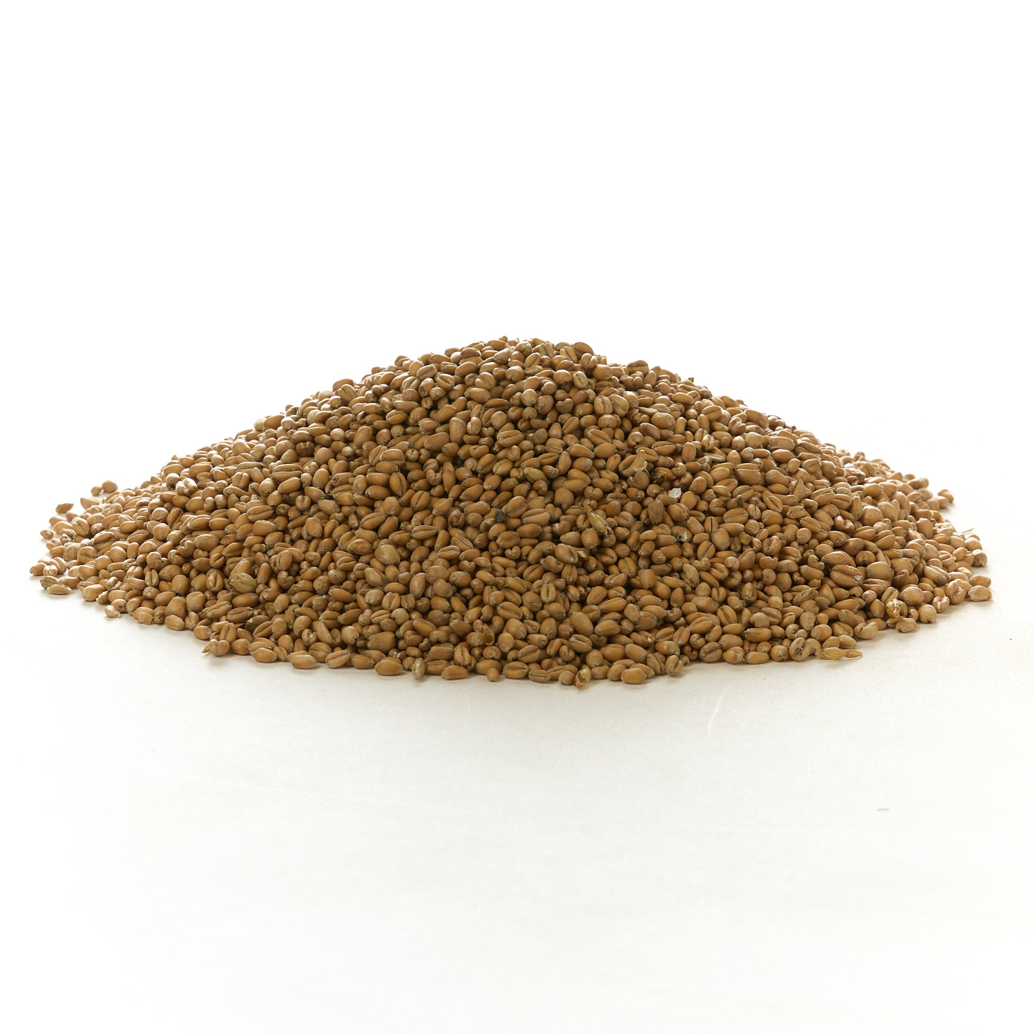Torrified Wheat - Crisp | The Brew Depot